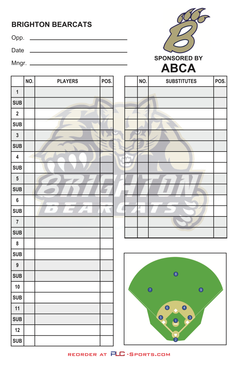 Personalized Baseball & Softball Lineup & Dugout Cards With Your Logo ...